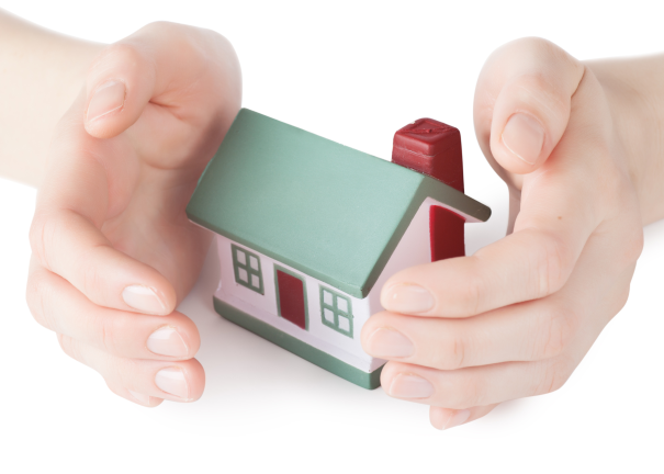 Blog - Sealeys Estate Agents Limited t/a Sealeys Walker Jarvis ...